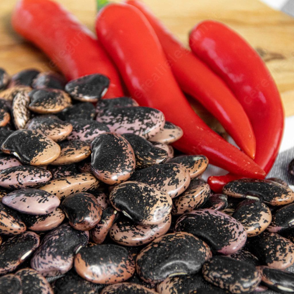 Devils beans - Azienda Agricola Lavosi Maurizio