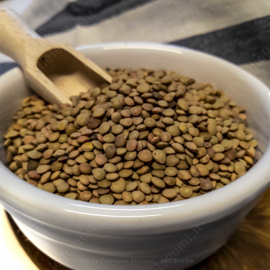 Lenticchia - Azienda Agricola Lavosi Maurizio